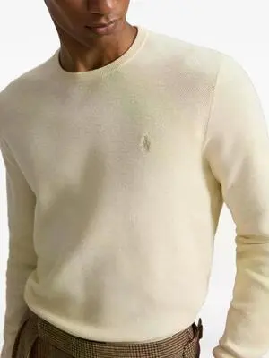 Polo Ralph Lauren Mesh-knit Crewneck Sweater With Embroidered Pony