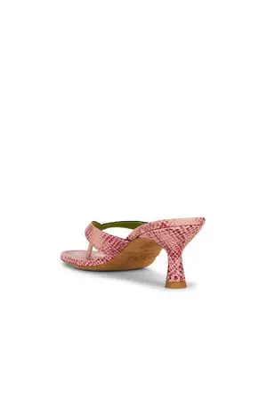 NOU Kitty Sandal - Watermelon