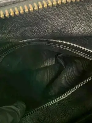 Celine 1998 Macadam Coated Canvas Handbag