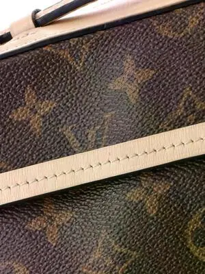 LOUIS VUITTON Saintonge Handbag Monogram Canvas With Leather Crossbody Bag - Neutrals
