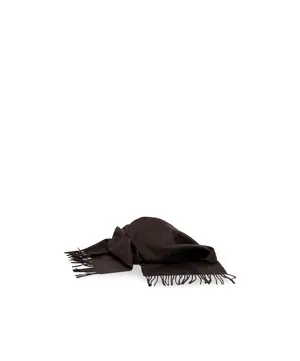 Max Mara Logo Embroidered Fringed Scarf - No
