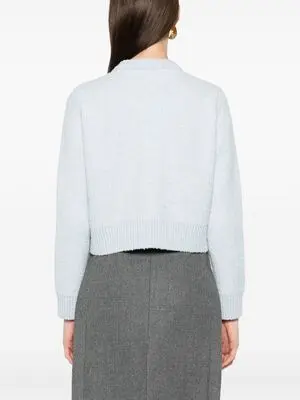 Bottega Veneta Long Sleeved Crewneck Cardigan