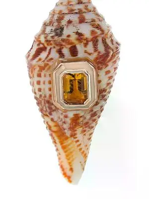 DEZSO Conus Shell And Scapolite Pendant