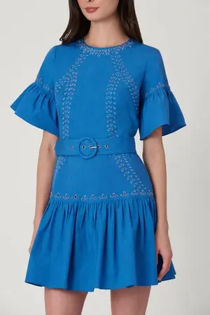 Shoshanna Embroidered Cotton Mini Dress
