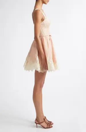 Zimmermann Valiant Lace Trim Corset Minidress