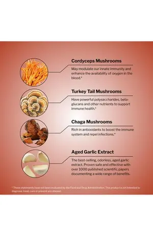 KYOLIC Immune Mushroom Supplement For Wellness And Energy Support