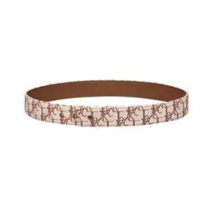 Dior X Cactus Jack Oblique Jacquard Belt Strap 'coffee/beige - Brown