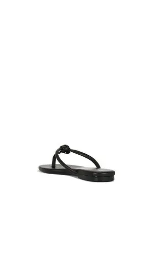 Raye Aarav Sandal