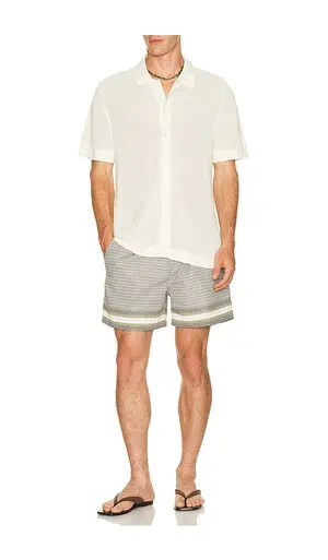 CHE Berkeley Border Printed Swim Short In Green