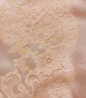 Carine Gilson Silk Lace-trim Slip Dress