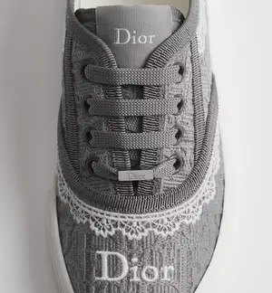 Dior Saltwind Low-top Sneakers - Gray