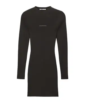 Alexander Wang Logo Long-sleeved Crewneck Mini Dress - No