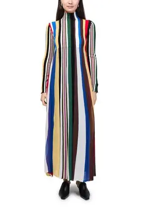 Loewe Printed Maxi Dress