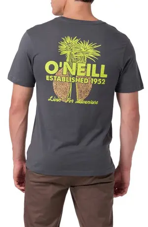 O'Neill Landmark Classic Cotton Graphic T-shirt