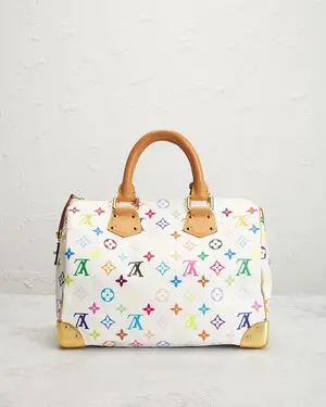 FWRD RENEW Louis Vuitton Monogram Speedy 30 Handbag