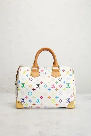 LOUIS VUITTON Monogram Speedy 30 Handbag