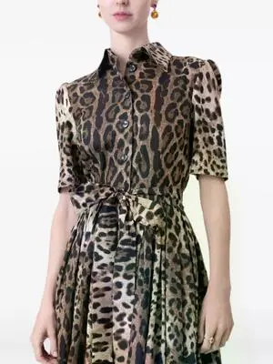 Dolce & Gabbana Leo-print Poplin Shirt Dress - Brown