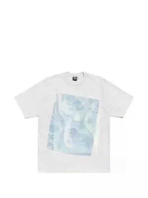 StÜssy Double Venus Graphic-print T-shirt - Grey