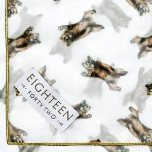EIGHTEEN FORTY TWO Chiffon Scarf - Bears
