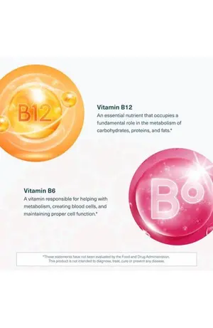 YOUTHEORY Vitamin B12 B6 Daily Energy And Brain Support Supplement Liquid Raspberry 12 Count 1oz
