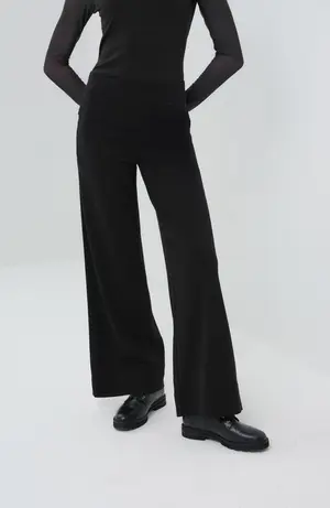 Anatomie Mita Comfortable Travel Pull On Wide Leg Pant