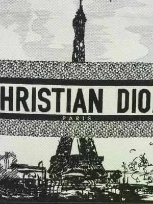 Dior 2024 Medium Book Tote Bag