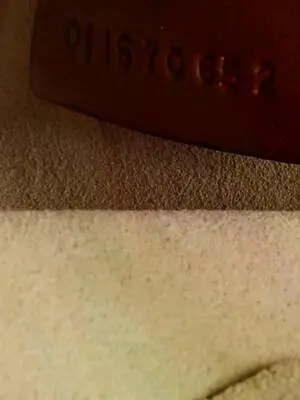 Chloé Medium Faye Shoulder Bag