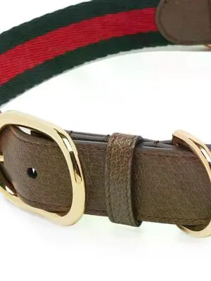 GUCCI Web Demetra-leather Pet Collar