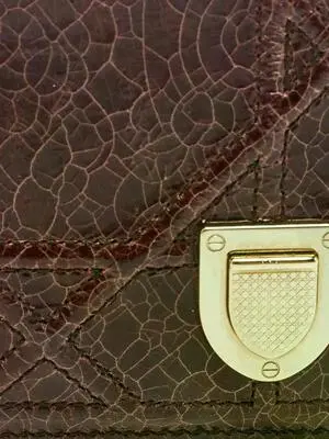 Dior 2016 Diorama Crackled Card Holder