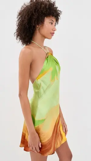 Retrofete Hilary Dress