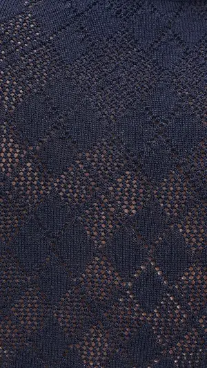 Sea Jane Argyle Polo Sweater
