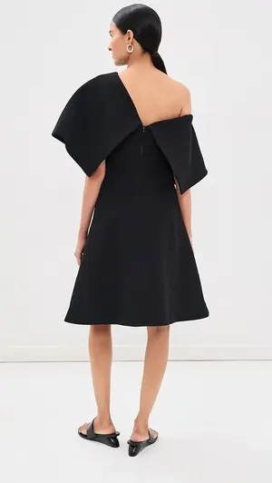 A.W.A.K.E. Mode Big Collar Dress