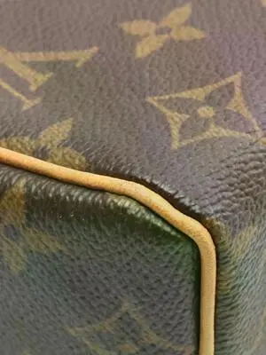LOUIS VUITTON Monogram Canvas Recital Handbag