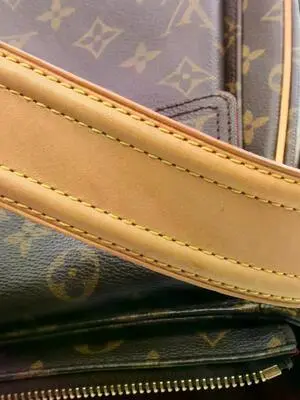 LOUIS VUITTON Monogram Canvas Gm Vivacite Tote Bag
