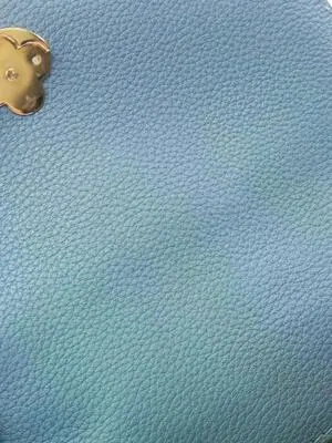 LOUIS VUITTON 2010s Pm Pont 9 Shoulder Bag