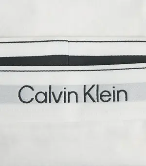 Calvin Klein Cotton-modal Icon Bikini Briefs