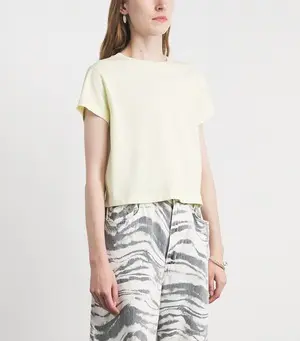 AGOLDE Organic Cotton Adine Shrunken T-shirt