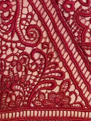 Tadashi Shoji Taryn Trackwork Lace-overlay Maxi Gown