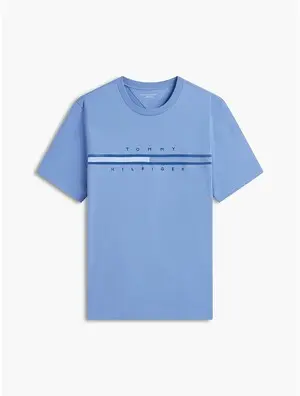 Tommy Hilfiger Tonal Flag Logo T-shirt - Washed Ink