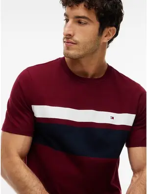 Tommy Hilfiger Block Stripe T-shirt - Burgundy