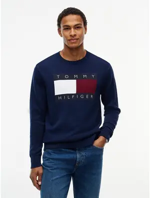 Tommy Hilfiger Printed Sweaters For Men