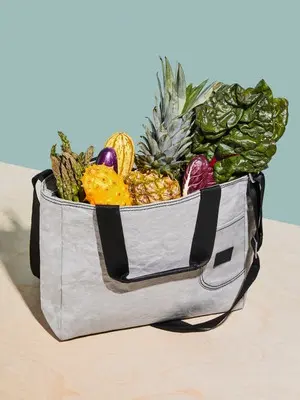 OUT OF THE WOODS Seagull Lunch Cooler