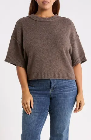 CITY BLUES Broome Short Sleeve Crewneck Sweater - Earth