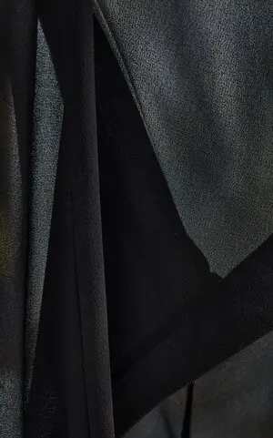 SLOAN Sheer Long Sleeve Turtleneck Top With Ruffled Sleeves