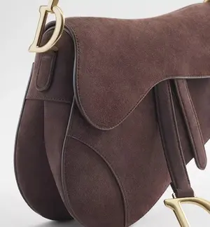 Dior Saddle Bag With Strap