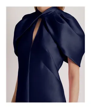 Alberta Ferretti Cape Sleeve High Neck Gown
