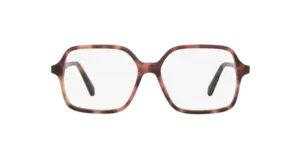 Celine Cl000439 - Tortoise