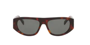 Celine Triomphe Sunglasses - Tortoise