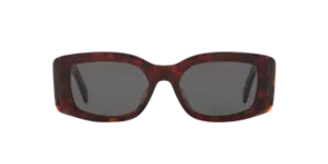Celine Cl000467 - Tortoise