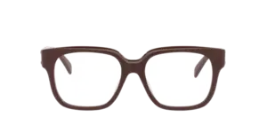 Celine Cl000634 - Brown